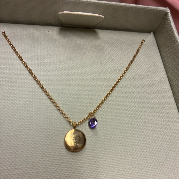 Zara | Jewelry | Nwt Zara February Birthstone Collection Necklace ...